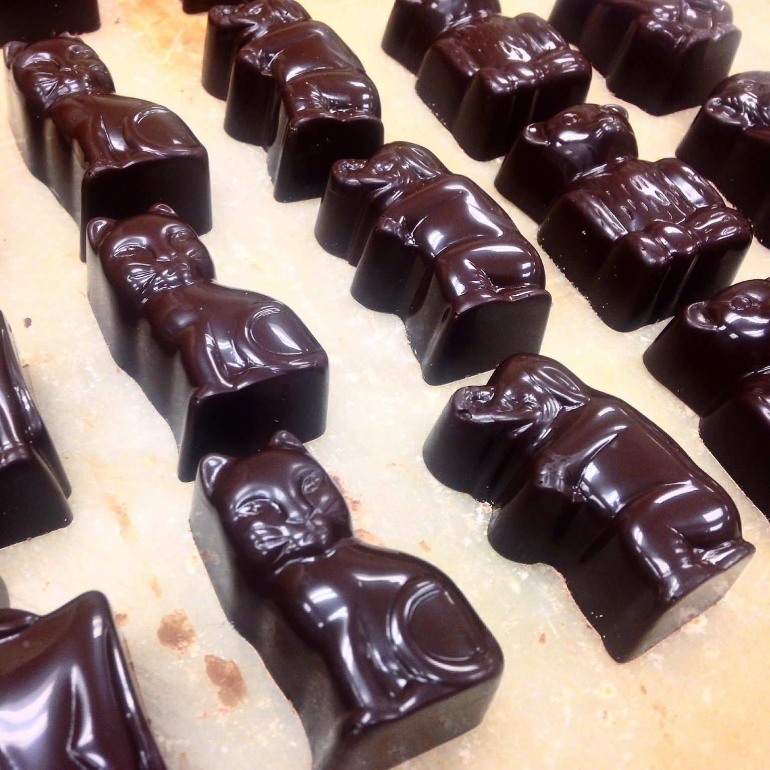 Silver Presentation Box Assortment of Chocolates - Dark Chocolate ...